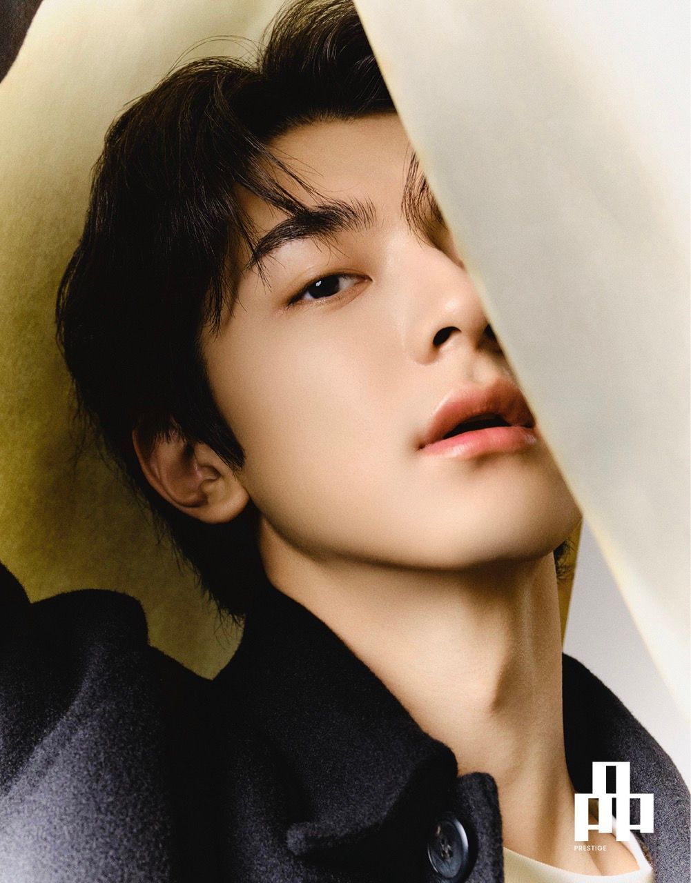 林一：从内向少年到荧幕主角的蜕变之路Lin Yi: The Transformation from a Shy Teen to a ...