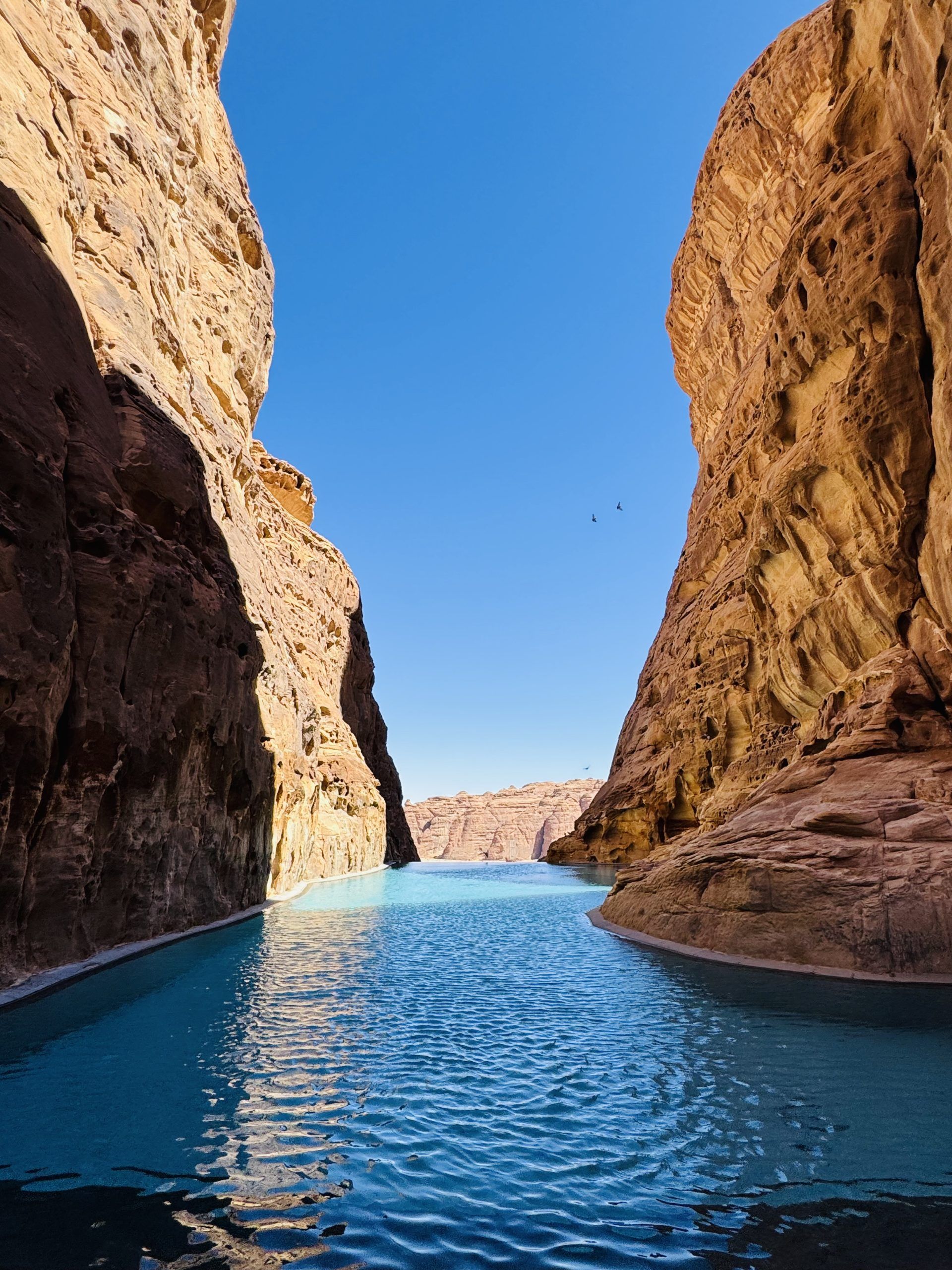 沙特：古城、沙漠与红海之间Saudi Arabia: Between Ancient Ruins and the Red Sea | 新版 ...